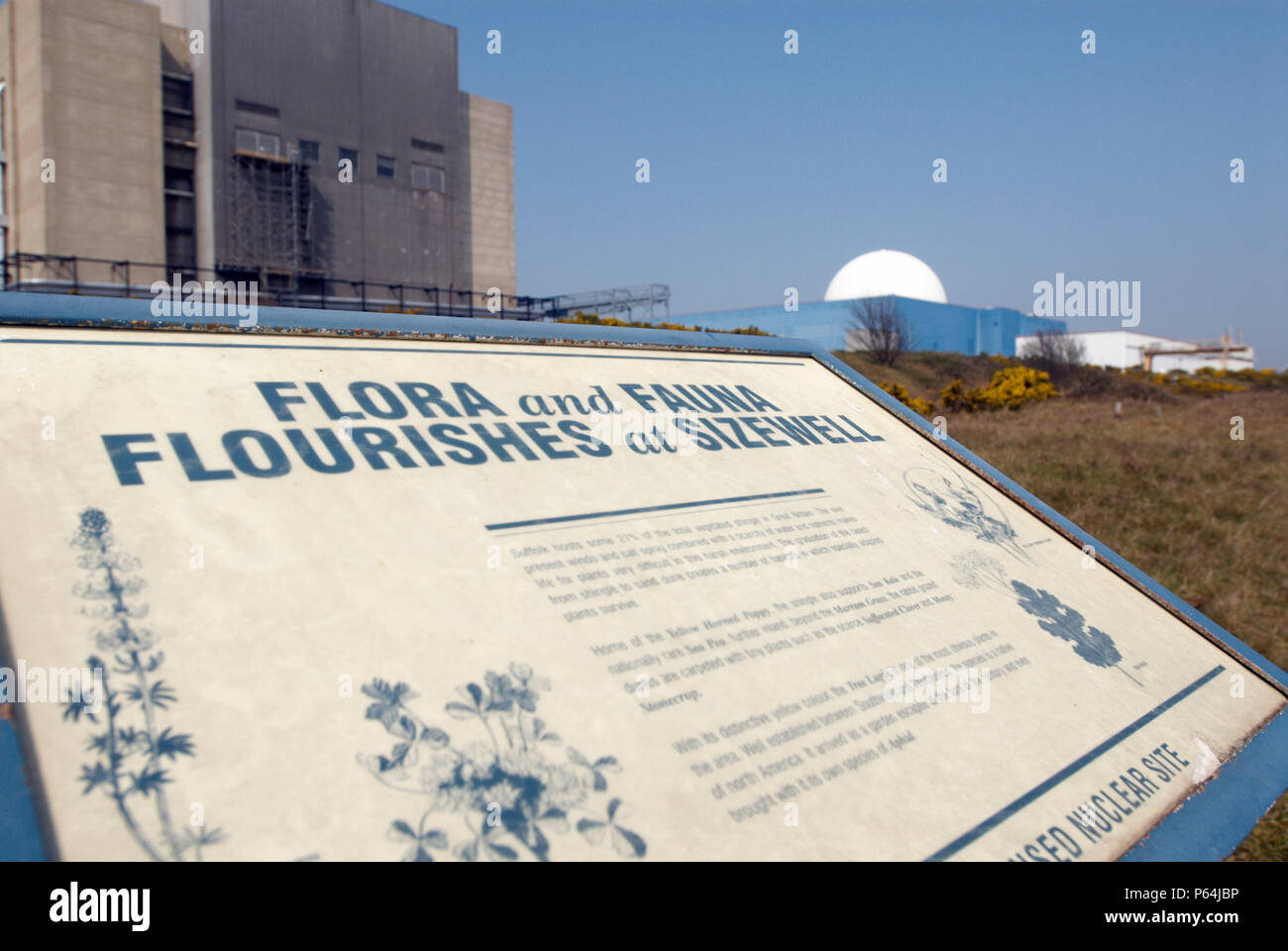 Nature reserve which surrounds the Sizewell B nuclear power station ...