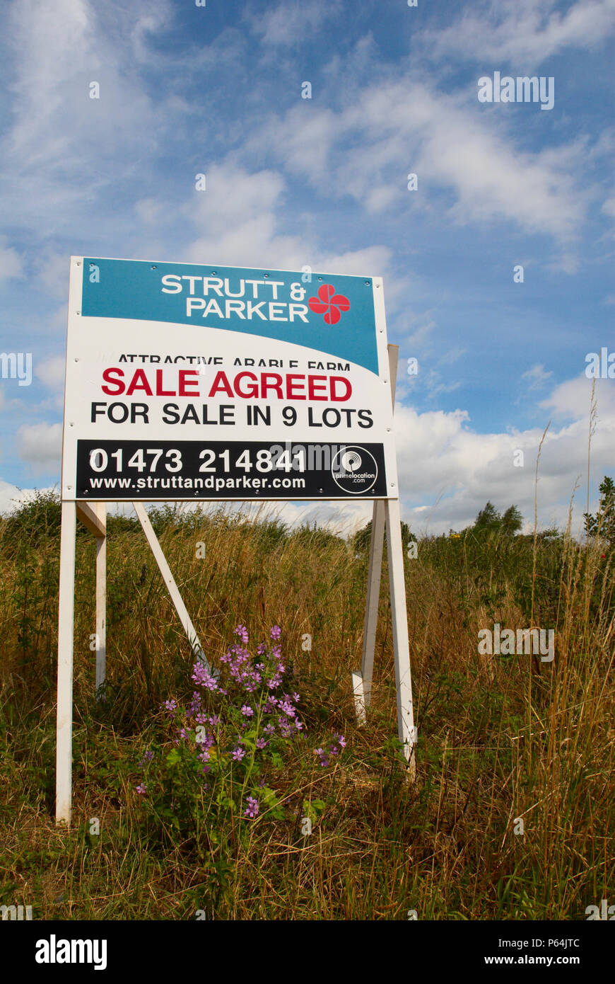 Sale agreed sign for land lots, UK Stock Photo - Alamy