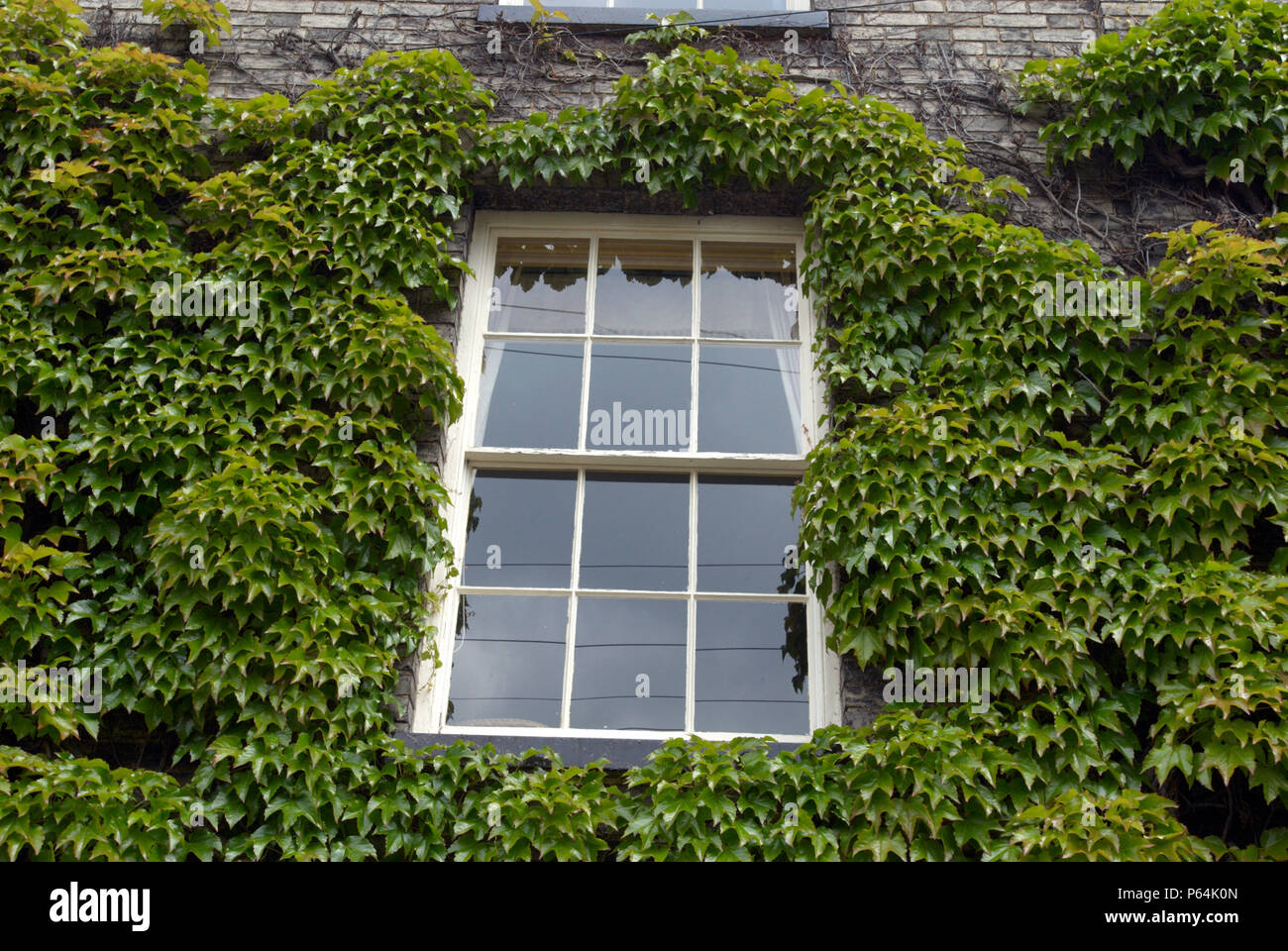 Georgian house window hi-res stock photography and images - Alamy