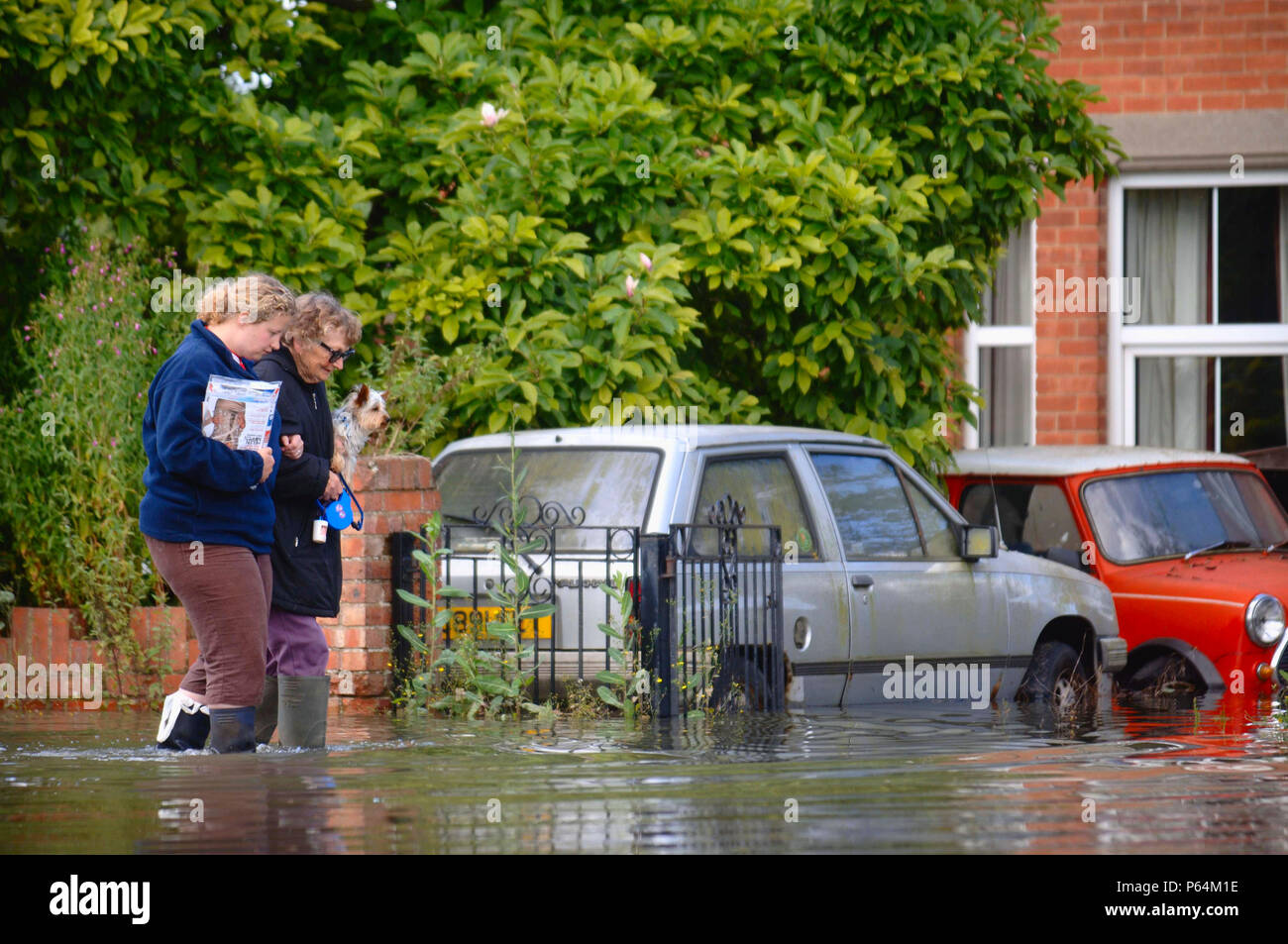 Neighbor helping in natural disaster hi-res stock photography and ...