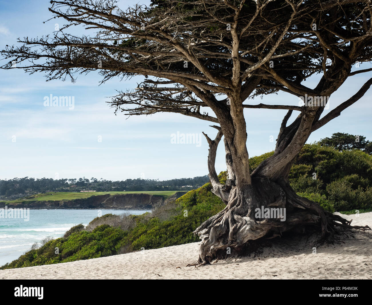 Carmel By The Sea Beach High Resolution Stock Photography and Images ...