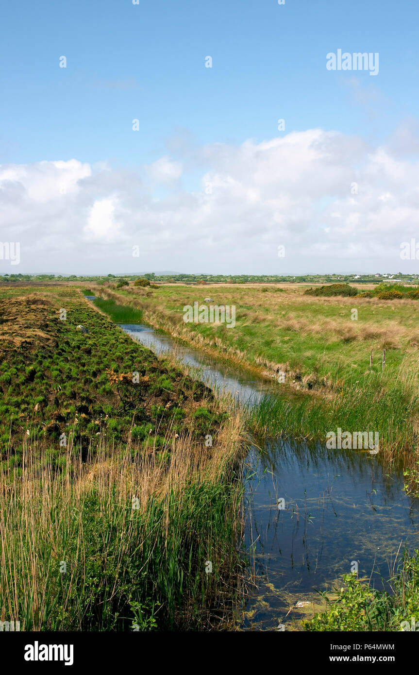Galway Canal High Resolution Stock Photography and Images - Alamy