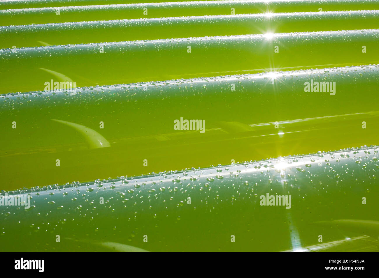 An AlgaeLink Algae growing system that is harvested to make ethanol and ...