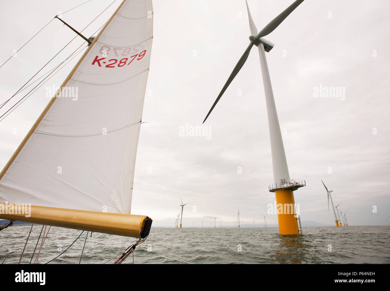 Sailing at the newly built Robin Rigg offshore wind farm in the solway ...