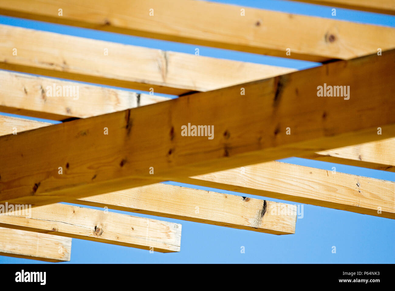 Pine Timber Structure Stock Photo - Alamy