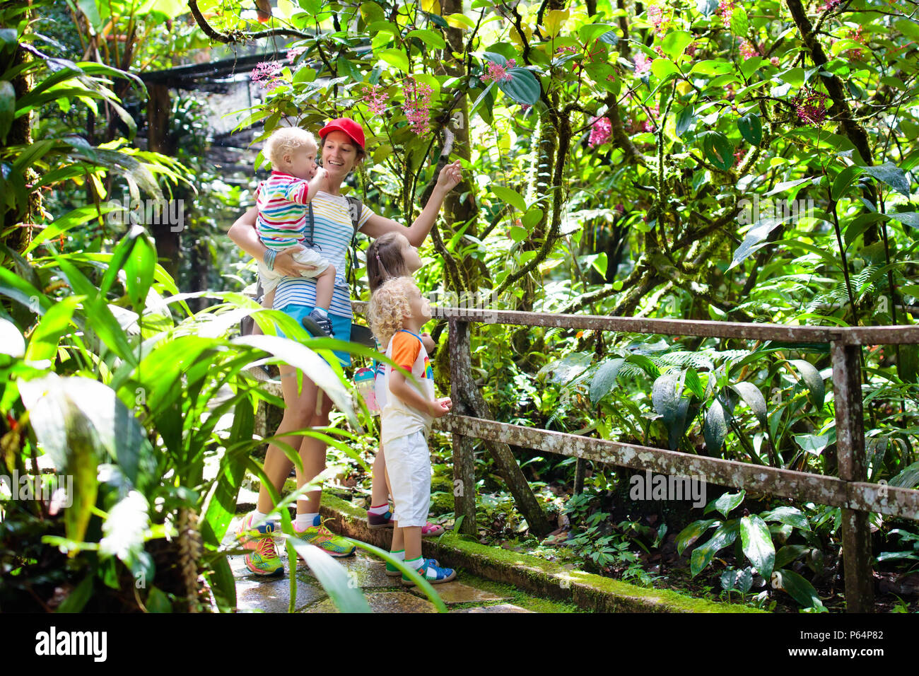 Family hiking in jungle. Mother and kids on a hike in tropical rainforest. Mom and children walk ...