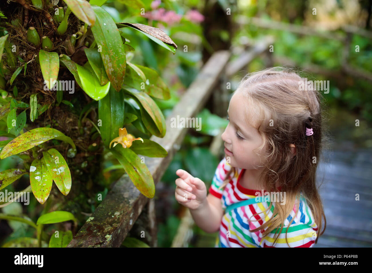 Little girl hiking in jungle. Child looking at wild orchid in tropical ...