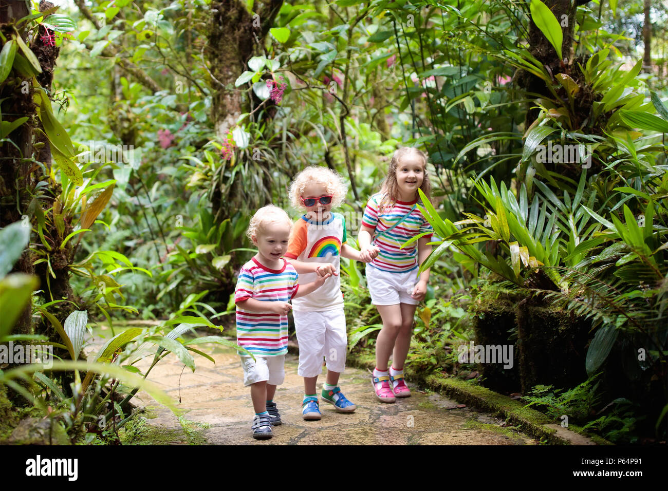 Family hiking in jungle. Kids on a hike in tropical rainforest. Young ...