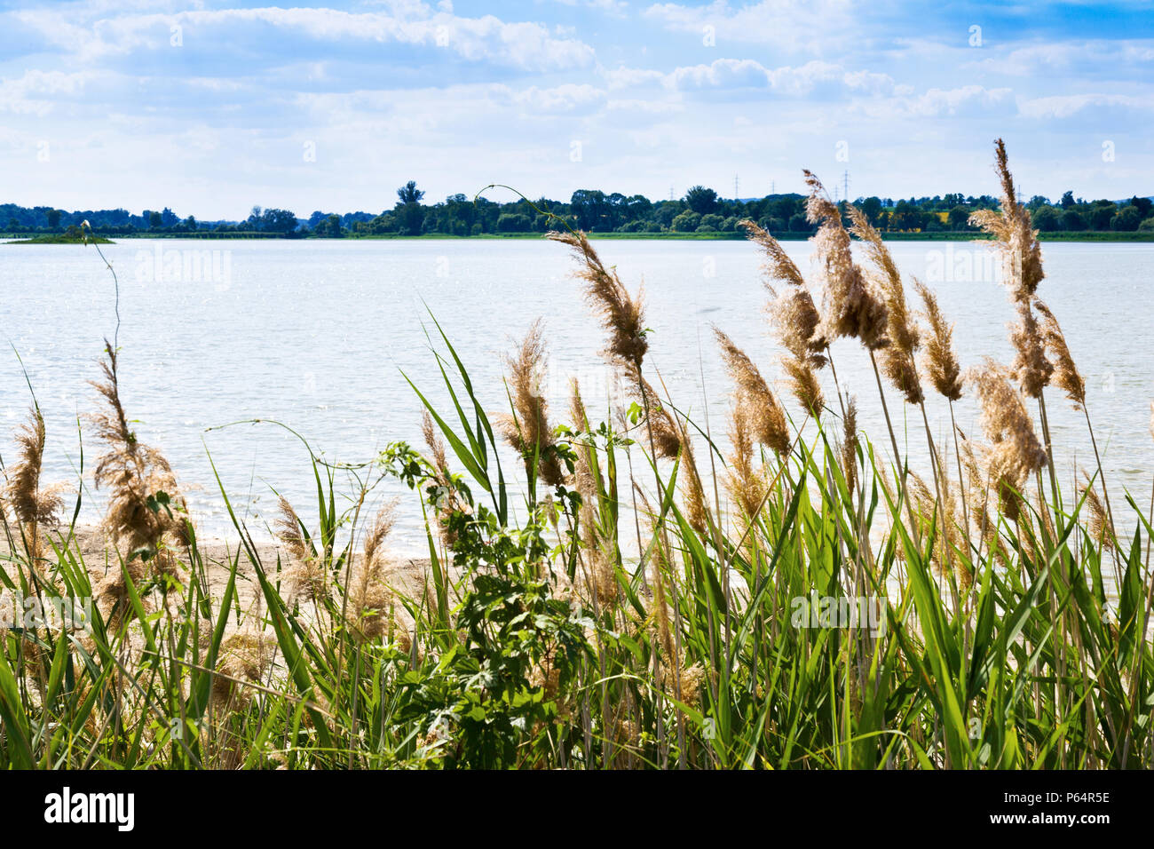 Mlynský hi-res stock photography and images - Alamy