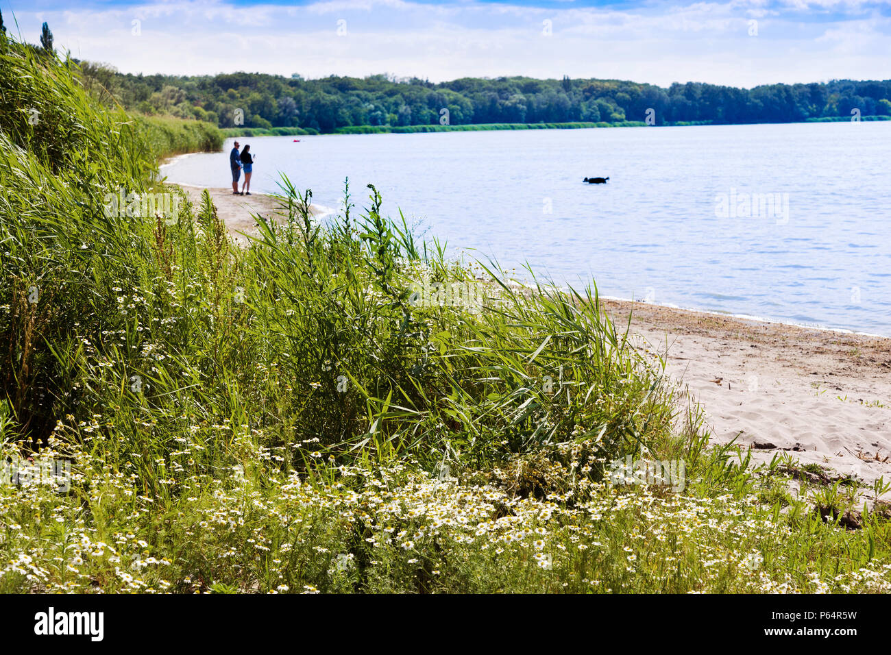 Mlynský hi-res stock photography and images - Alamy