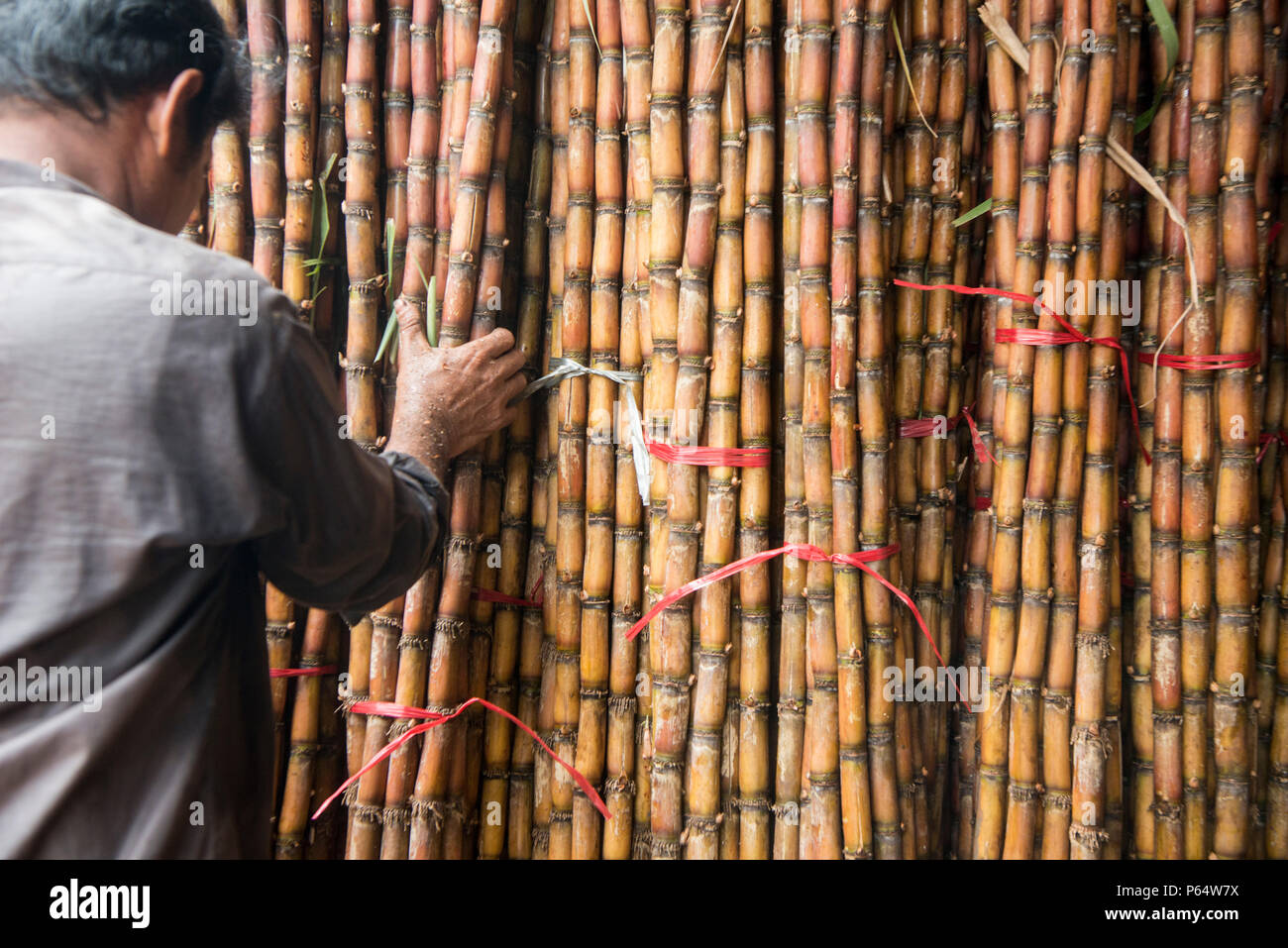 sugar cane at the food market at the Kandal market or Psar Kandal ...