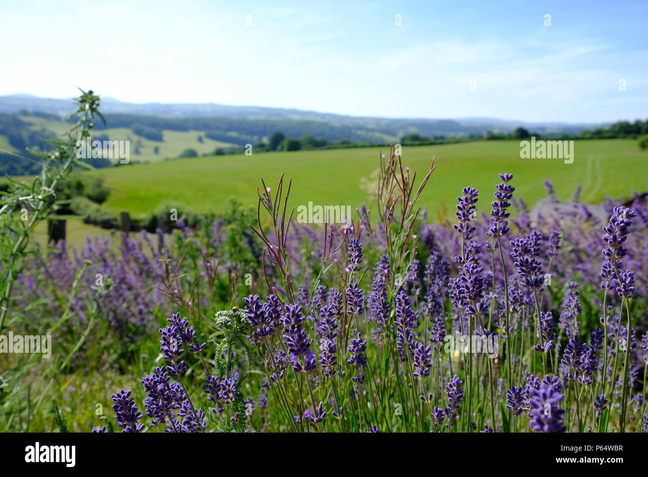 Welsh landscape hi-res stock photography and images - Alamy