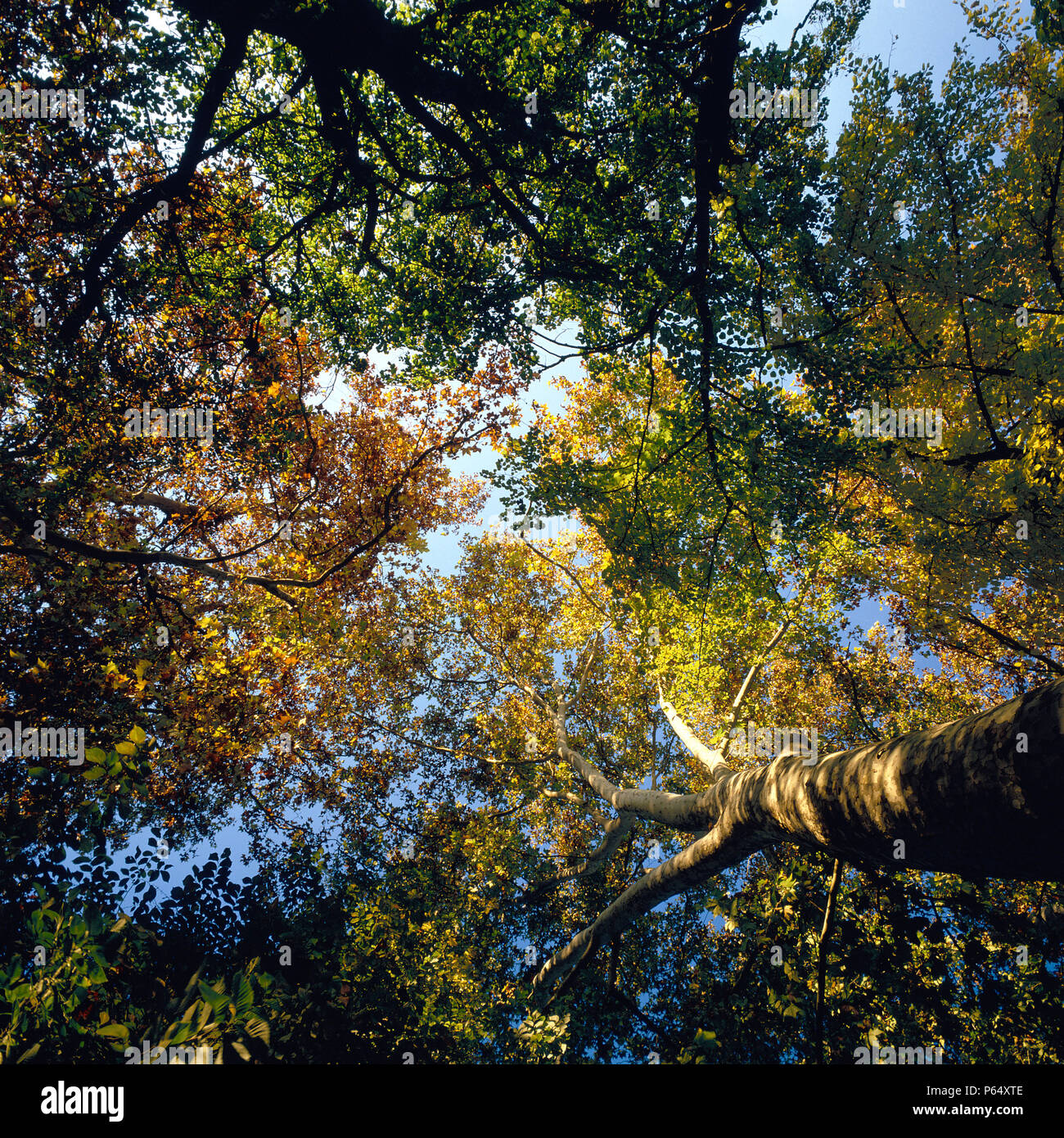 01154 hi-res stock photography and images - Alamy
