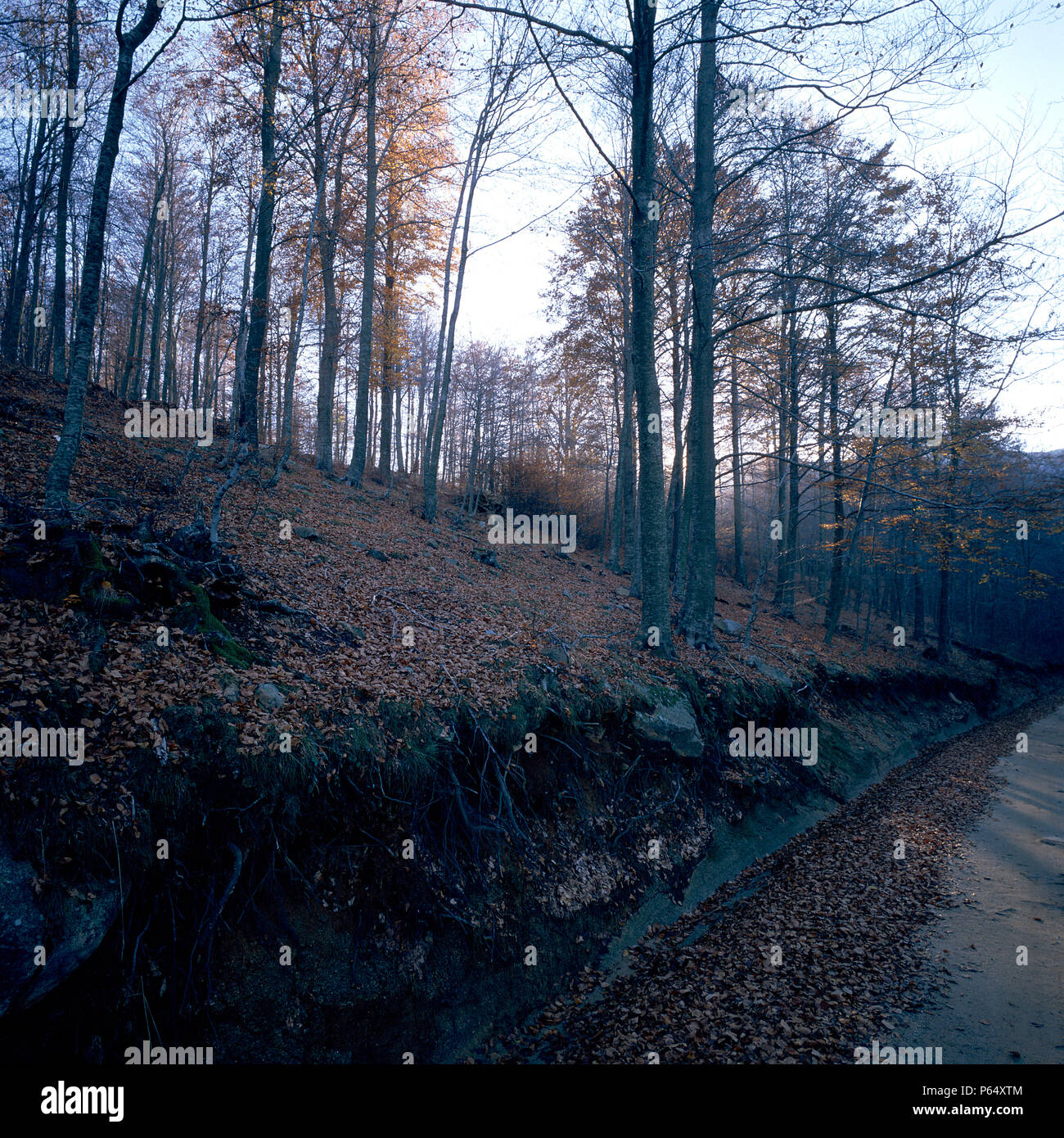 A151 road hi-res stock photography and images - Alamy