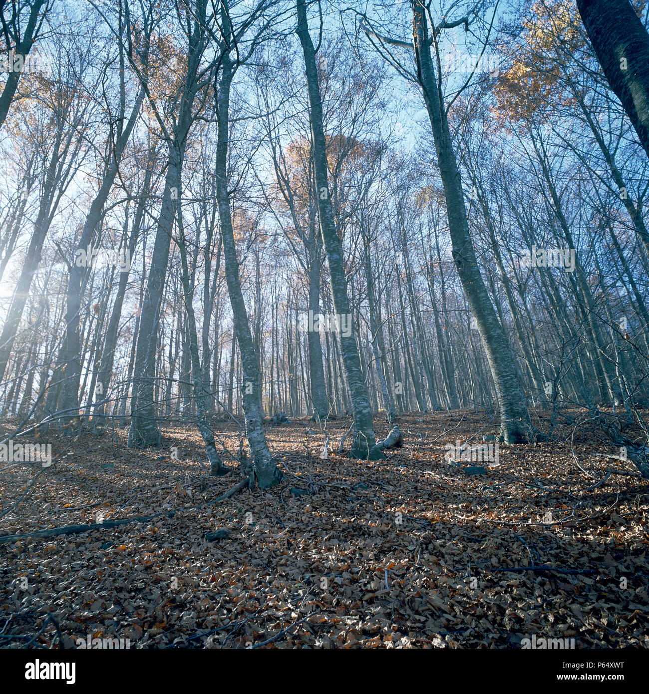 01158 hi-res stock photography and images - Alamy