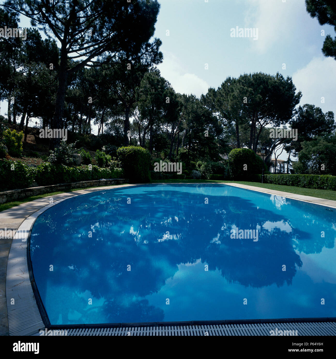 View of a clear swimming pool Stock Photo - Alamy