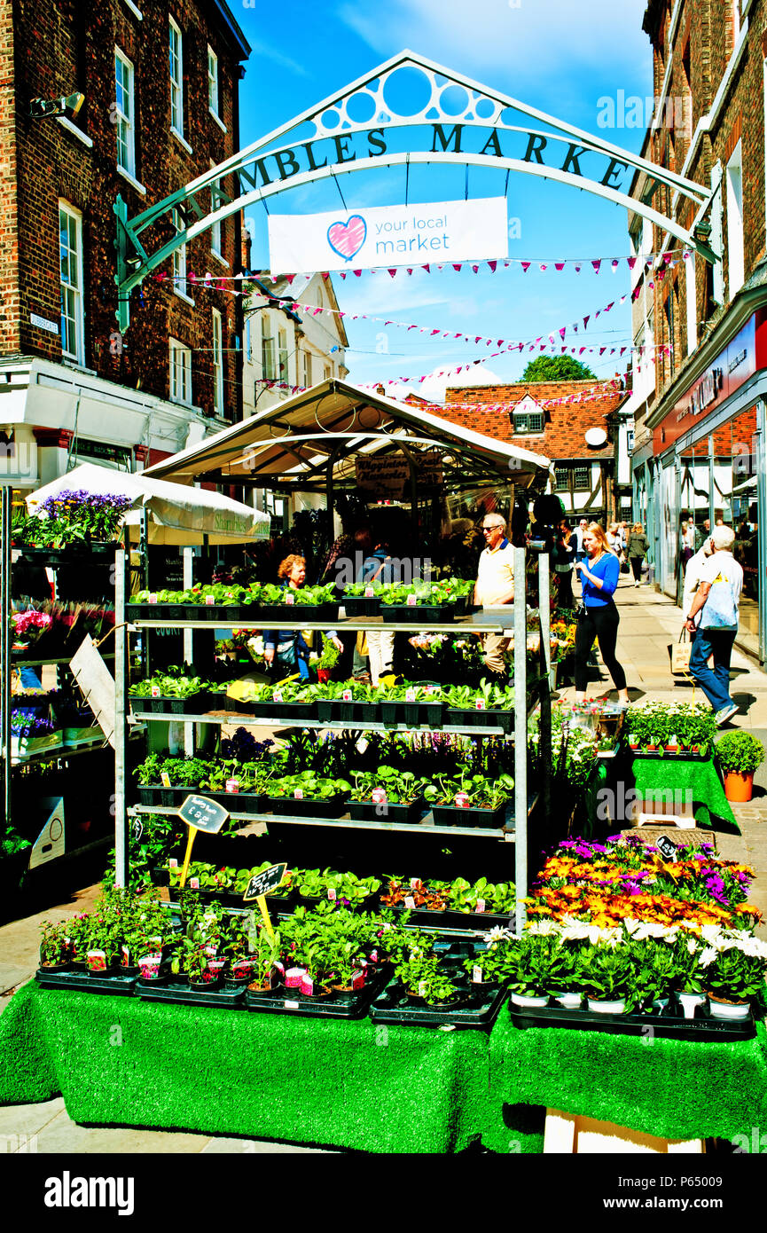 Shamble hi-res stock photography and images - Alamy