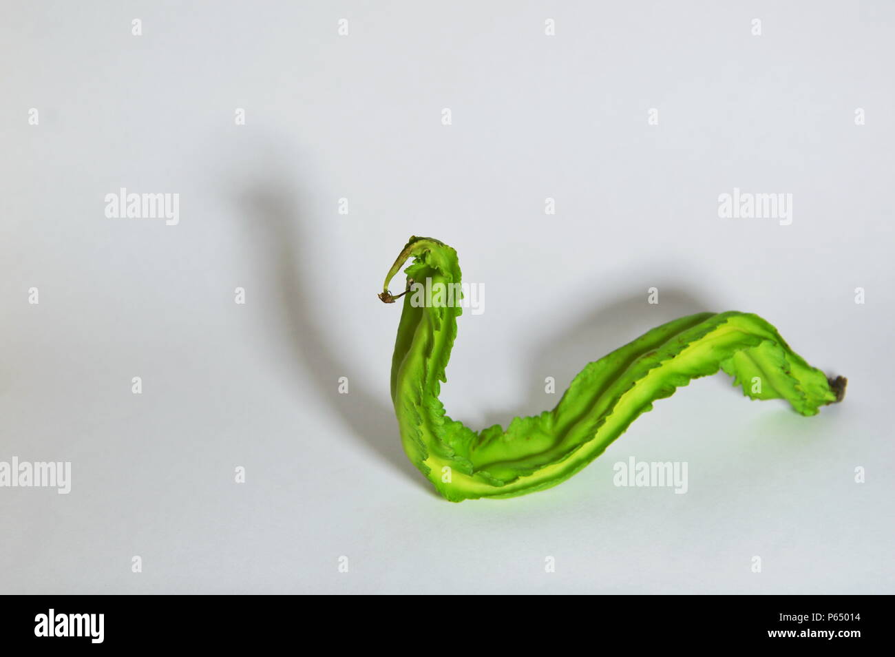 wing bean curve like snake Stock Photo - Alamy