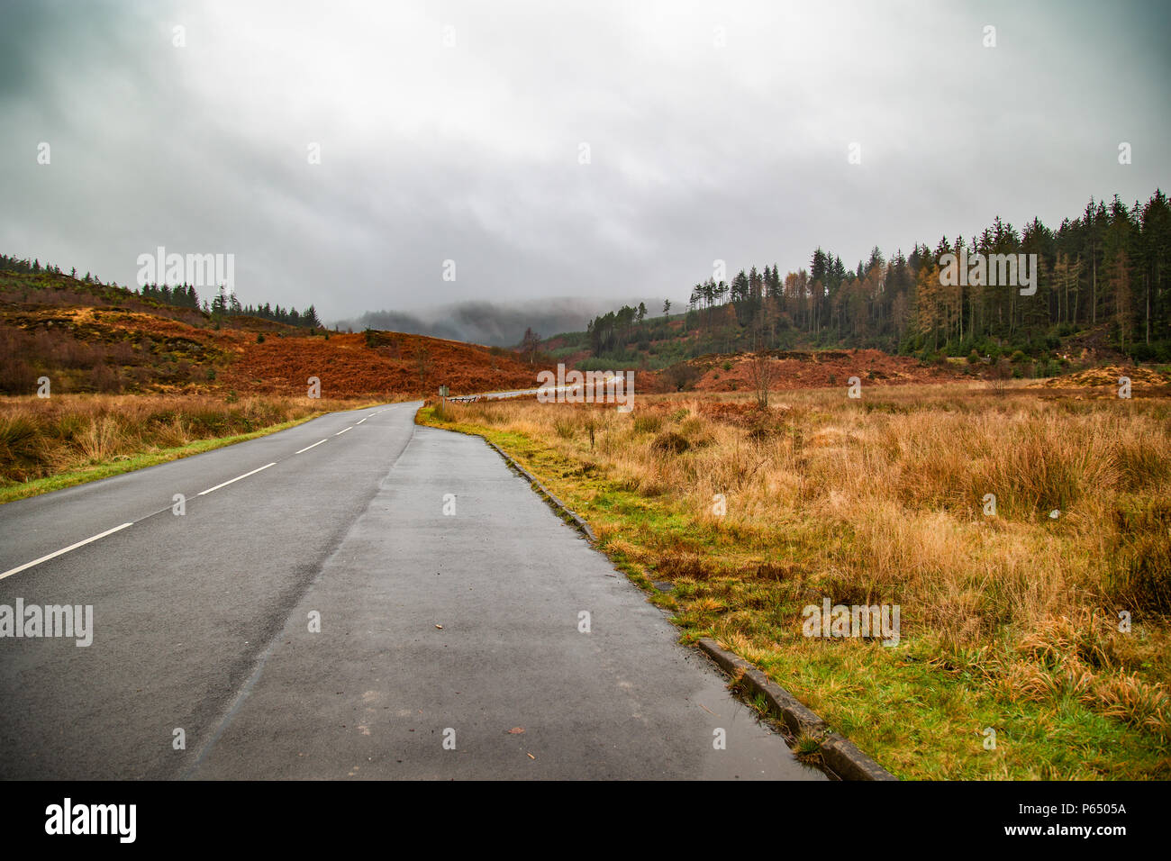 Scottish landscapes, rainy, foggy day, autumn in Scotland, United ...