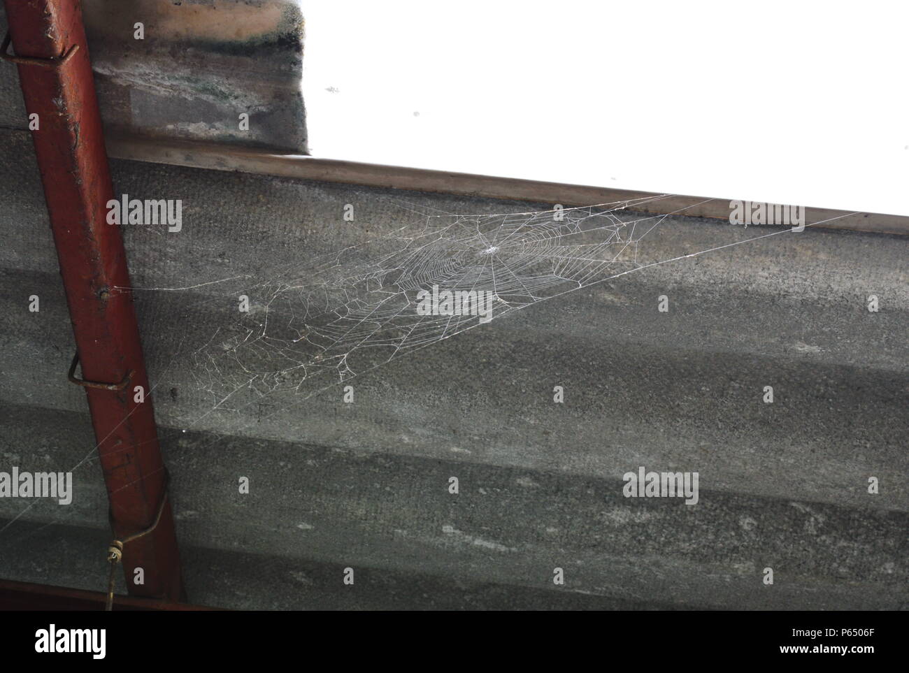spider net on roof Stock Photo - Alamy