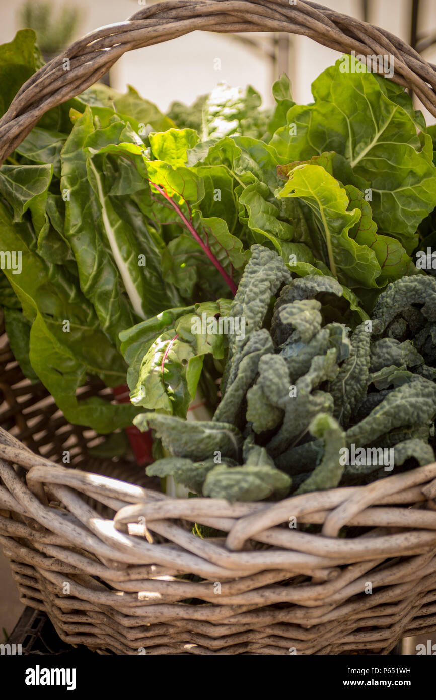 Basket of Green Vegetables Stock Photo - Alamy