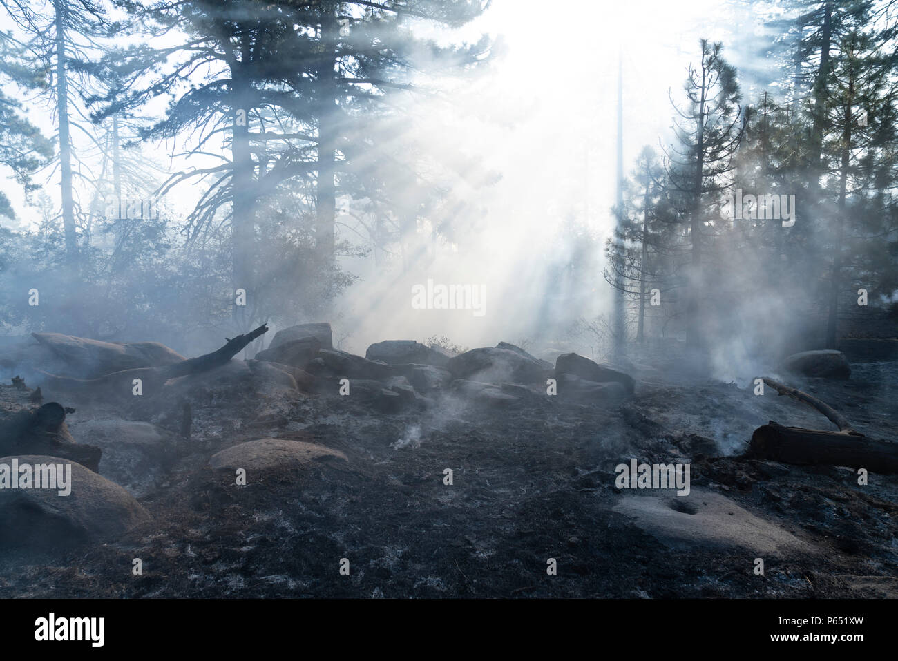 Cahuilla people native americans hi-res stock photography and images ...