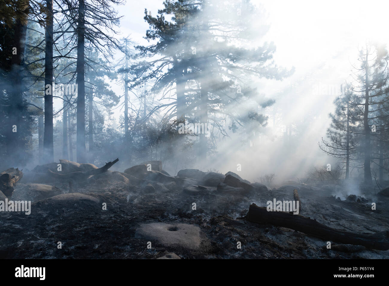 San Jacinto Mountains, CA – MARCH 29: Serrano Native Americans remains ...
