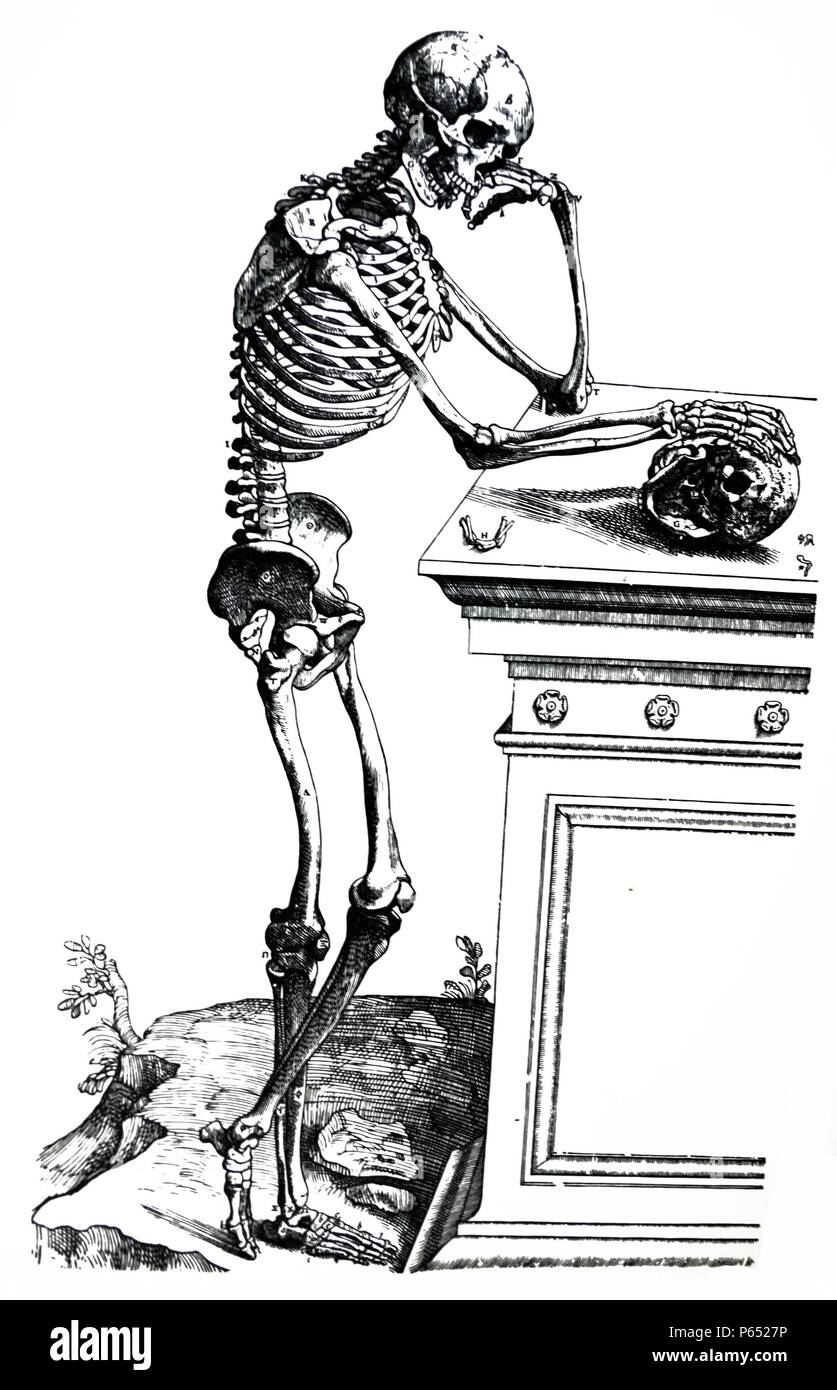 The Plates from the Epitome of the De Humani Corporis Fabrica by ...