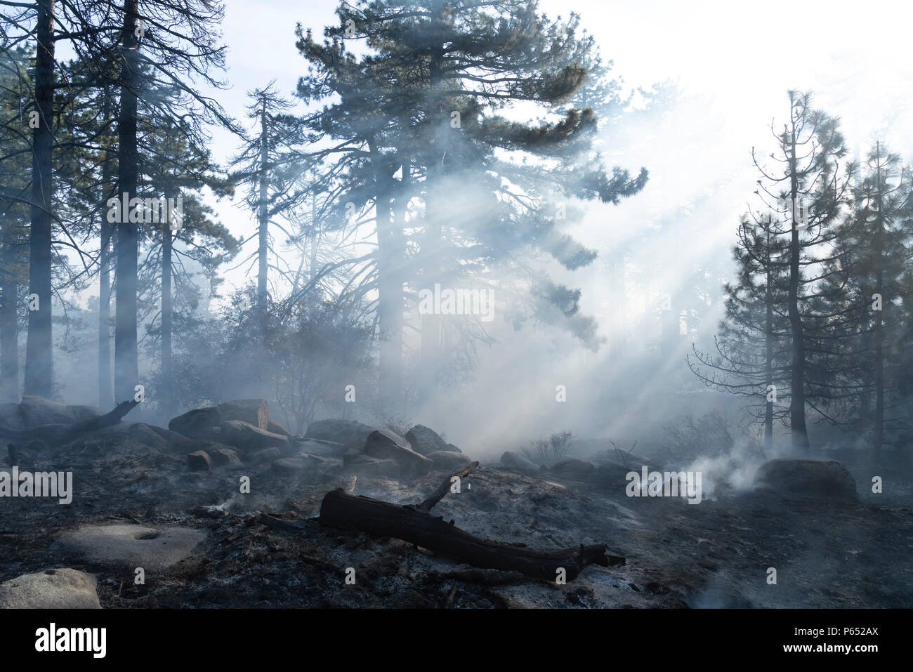 San Jacinto Mountains, CA – MARCH 29: Serrano Native Americans remains ...