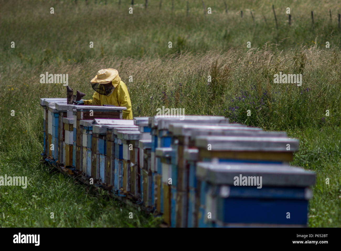 Grass house beehive hi-res stock photography and images - Alamy