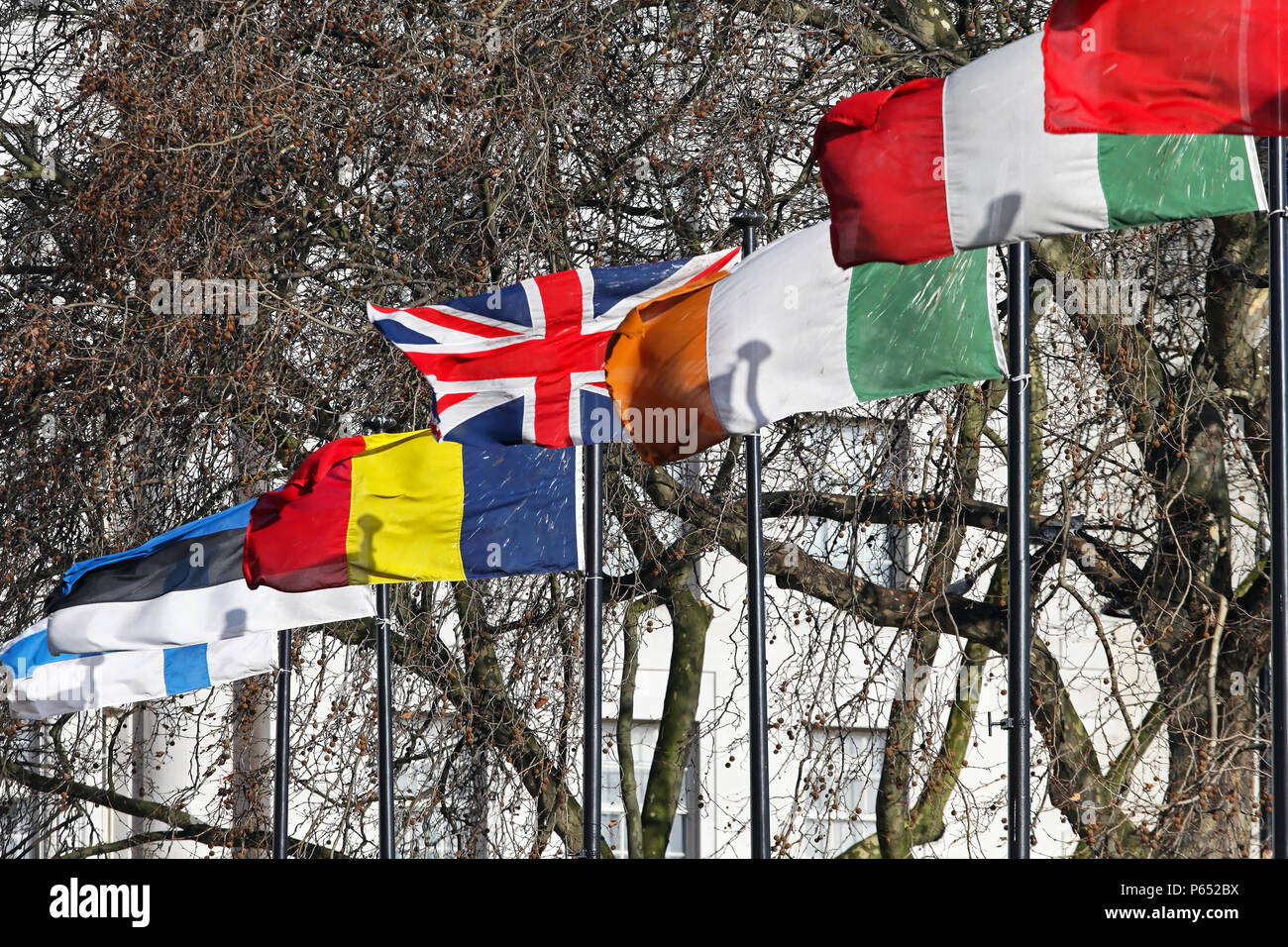 European flags in a row flying in the wind Stock Photo - Alamy