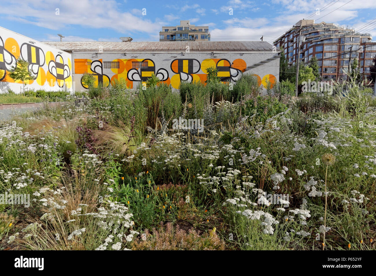Fifth and Pine pop-up park and pollinator project with wildflower ...