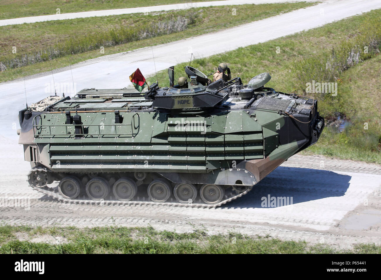 Marines with Alpha Company, 2nd Assault Amphibian Battalion maneuver ...