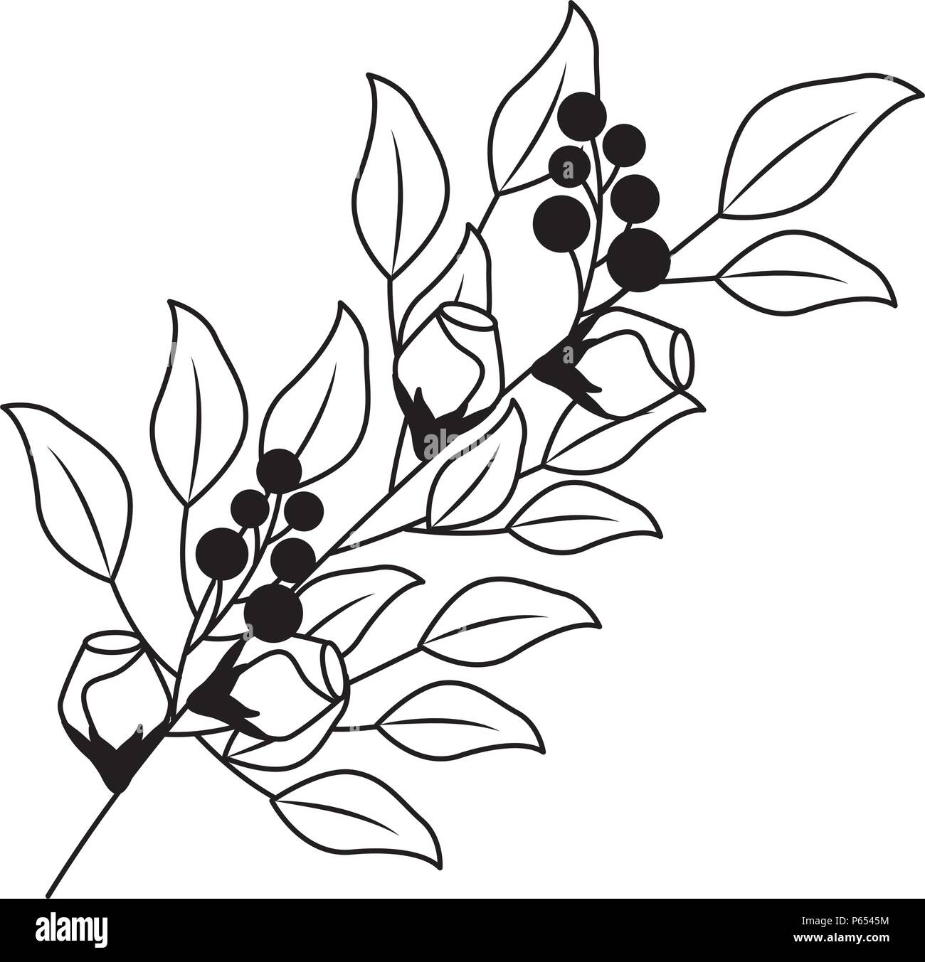 Rose seeds Stock Vector Images - Alamy