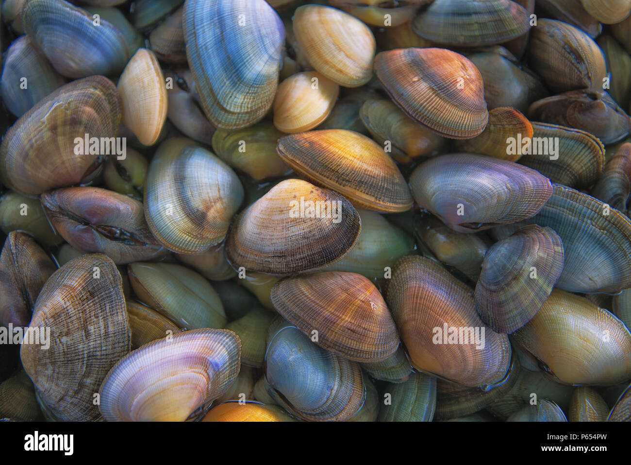 Pack boats hi-res stock photography and images - Alamy