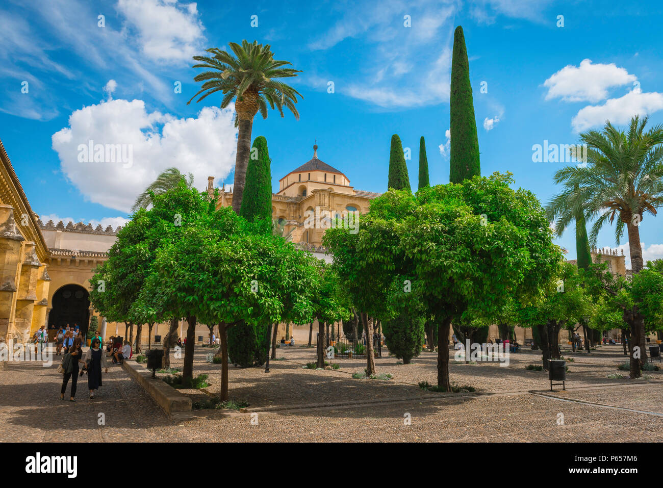 View Of The Patio De Los Naranjos Courtyard Of The Orange Trees In