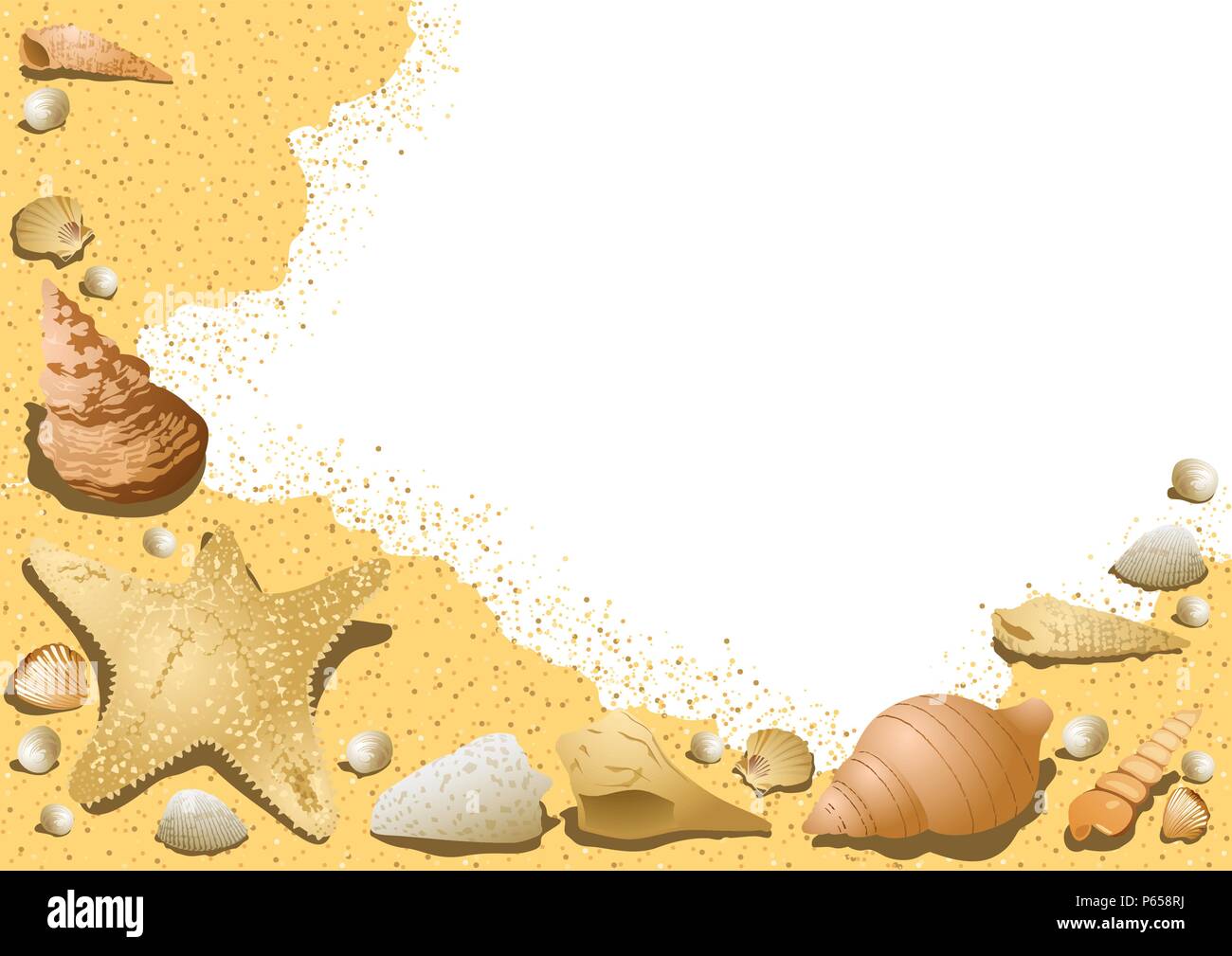 Sandy Background with Seashells Stock Vector Image & Art - Alamy
