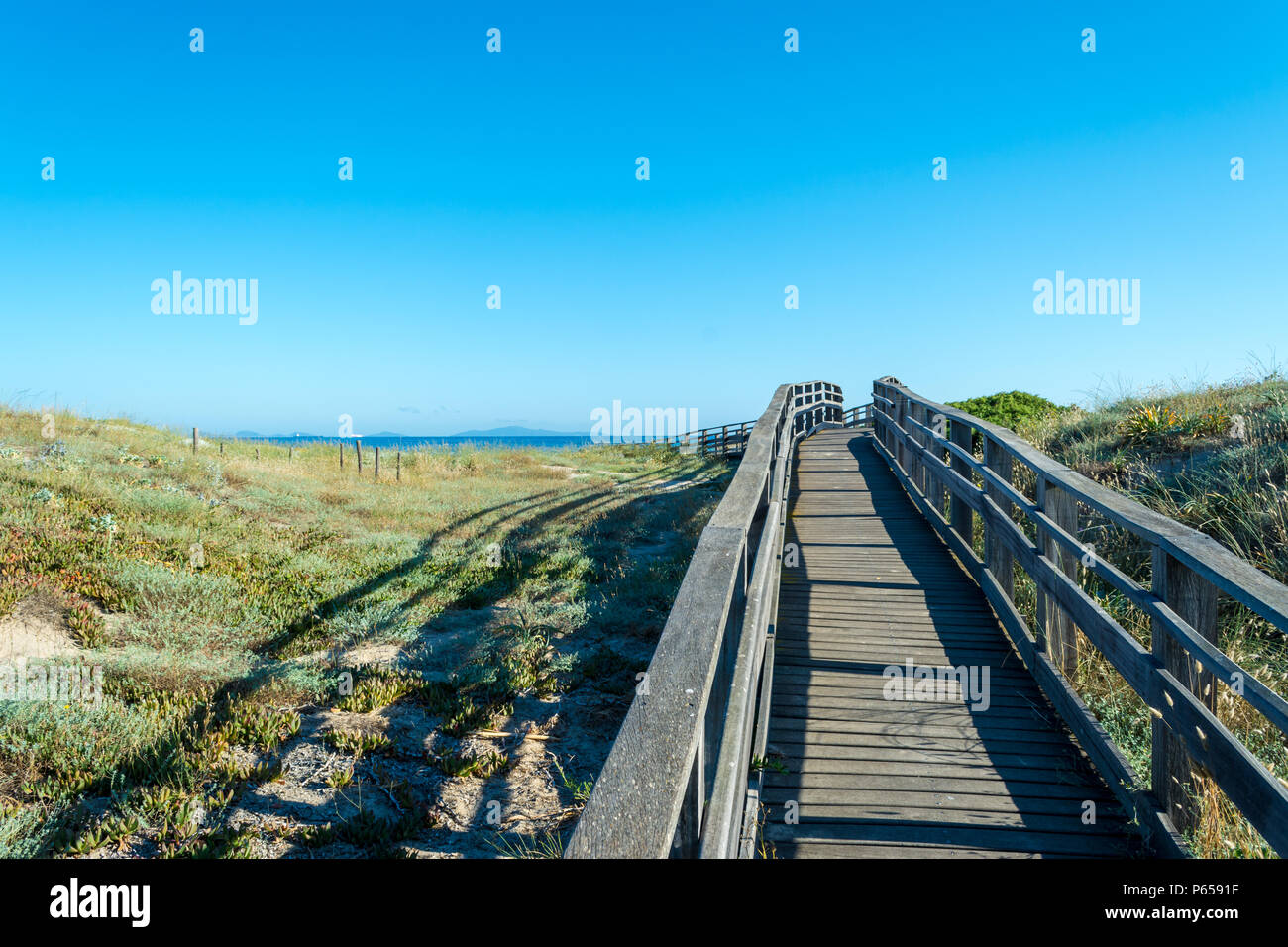 Wooden catwalk on the beach ina sunny day of summer Stock Photo - Alamy