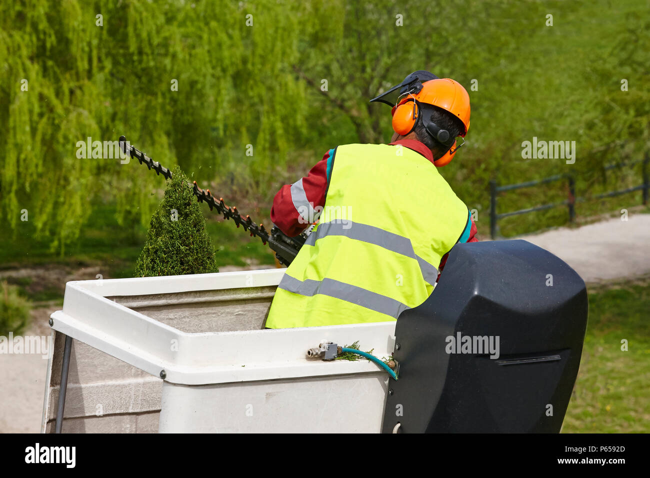 Equiped worker pruning a tree on a crane. Gardening works Stock Photo ...