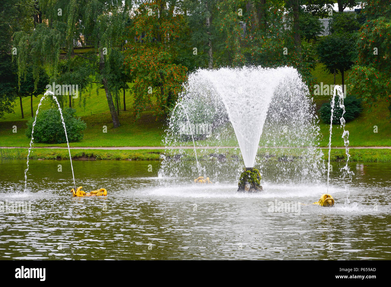 Pond whale hi-res stock photography and images - Alamy
