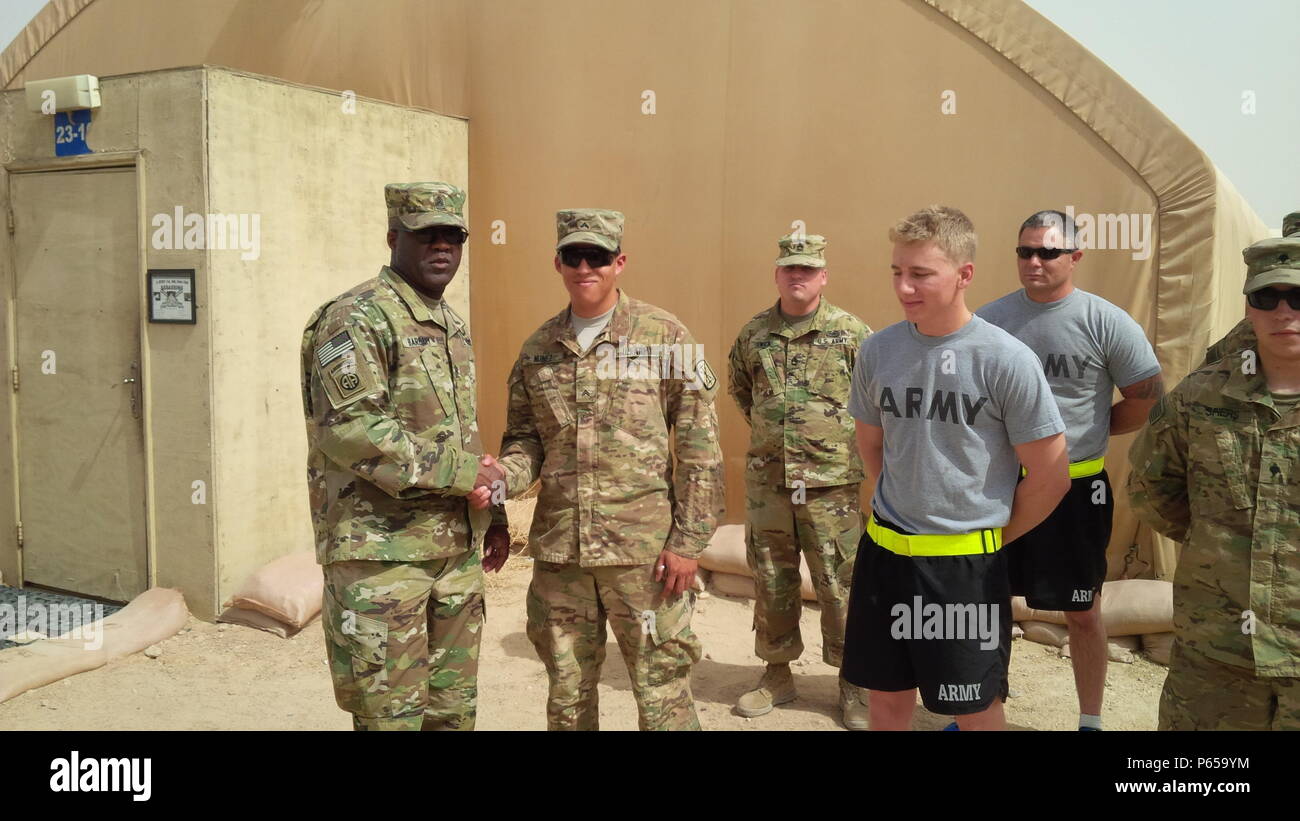 Command Sgt. Maj. Freddie J. Barbary, 17th Field Artillery Brigade ...