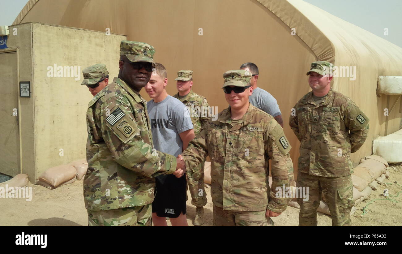 Command Sgt. Maj. Freddie J. Barbary, 17th Field Artillery Brigade ...