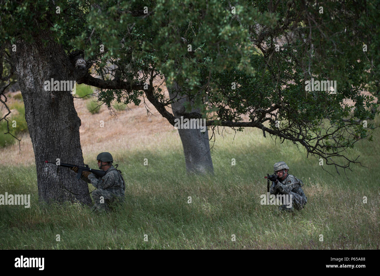 U.S. Army Reserve Soldiers from the 223rd Maintenance Company, of Grand ...