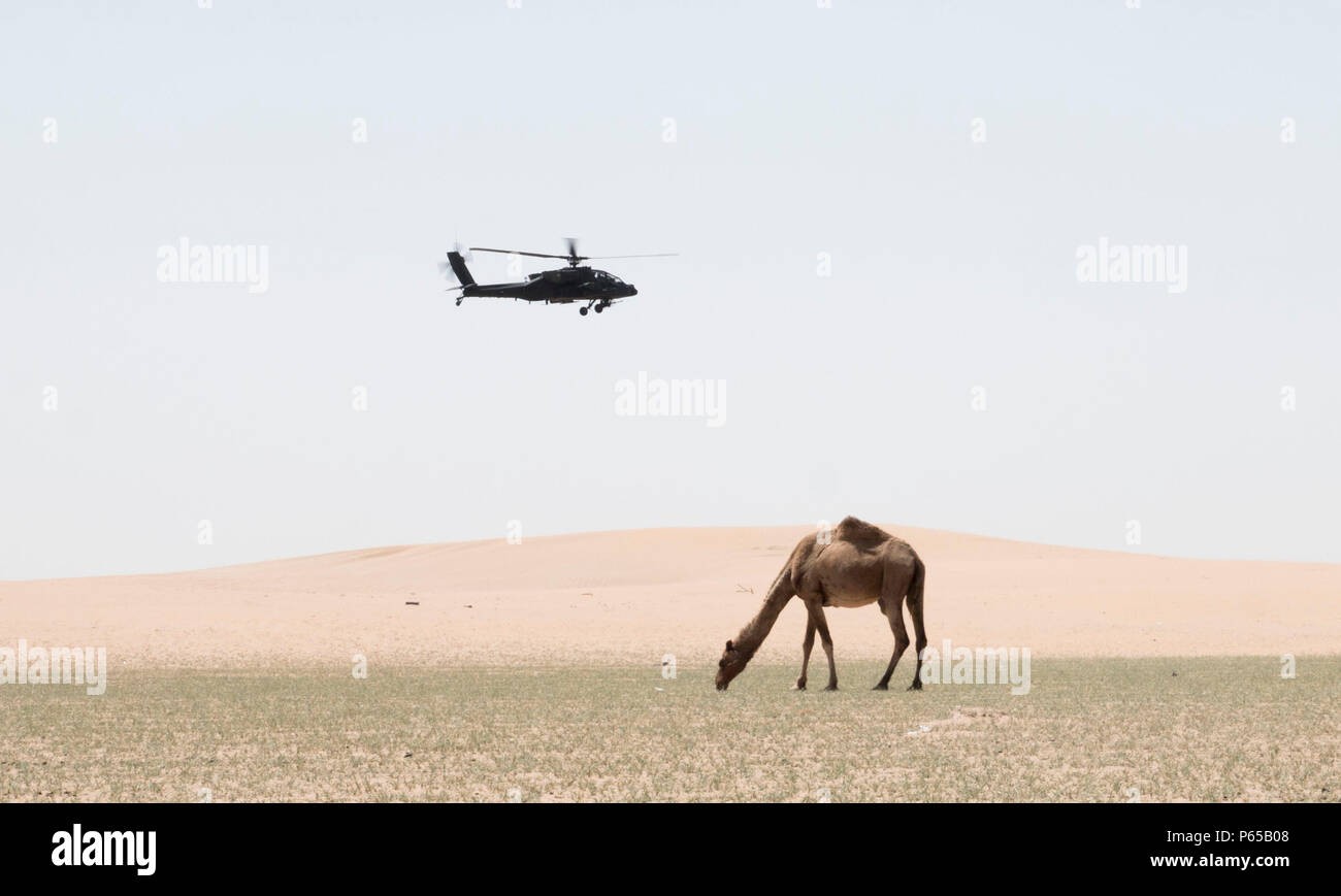 An AH-64 Apache helicopter from 1st Battalion, 10th Aviation Regiment ...