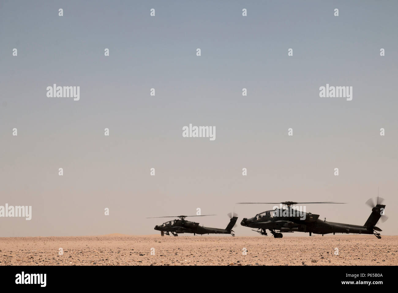Army gray eagle hi-res stock photography and images - Alamy