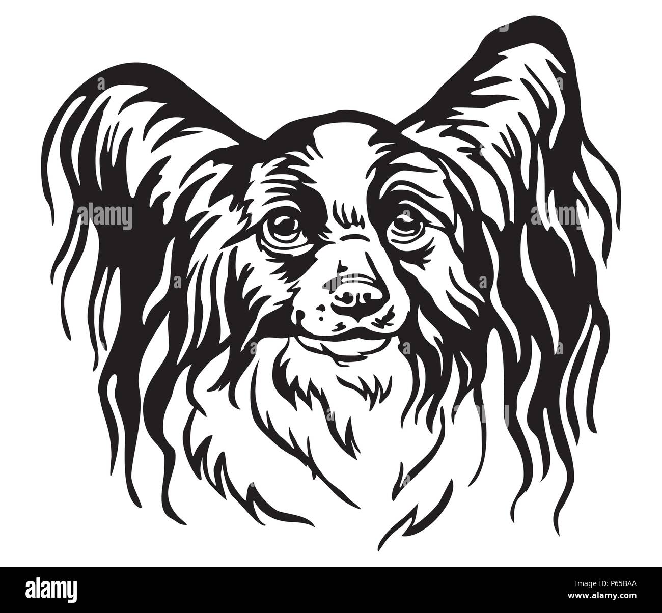 Decorative portrait of Papillon Dog, vector isolated illustration in ...