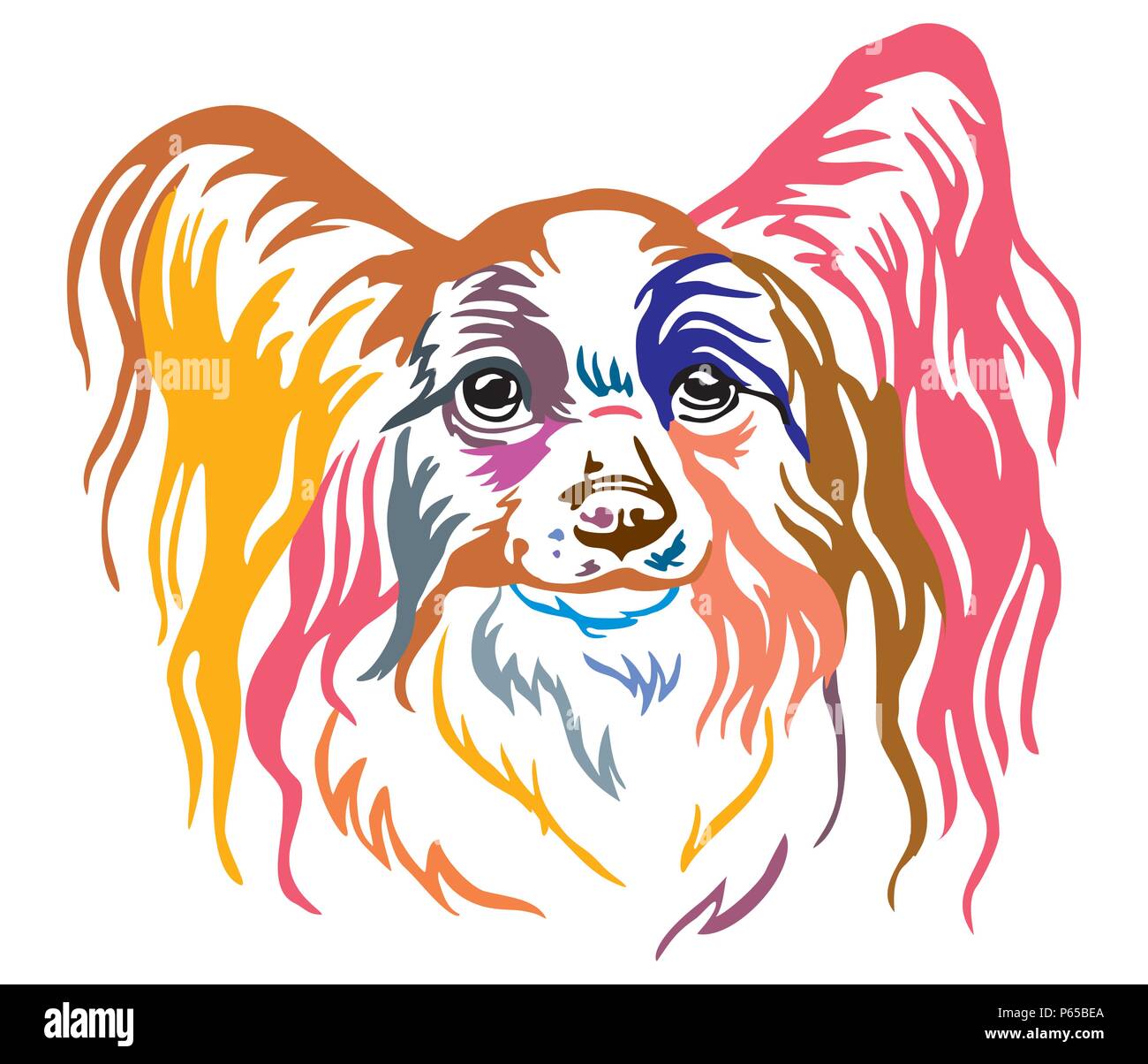 Colorful decorative portrait of Papillon Dog, vector illustration in ...