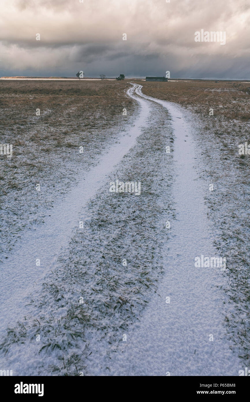 The road is filled with the first snow in the field leading to the ...