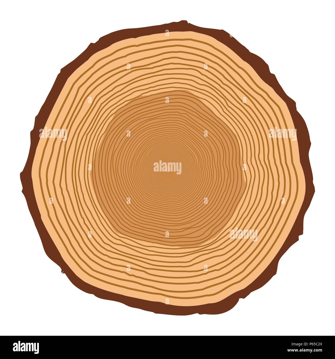 Tree trunk rings hi-res stock photography and images - Alamy