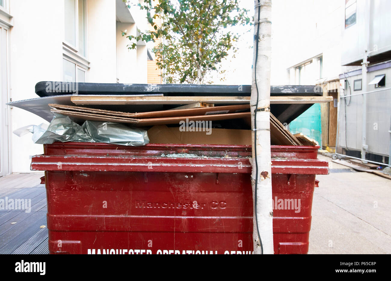 Recycling bins in the office hi-res stock photography and images - Alamy